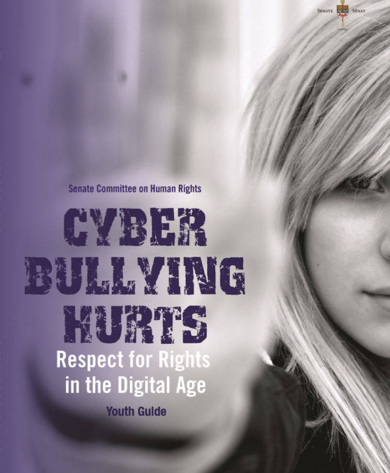 Cyberbullying Hurts -Respect for Rights in the Digital Age -Youth Guide ...